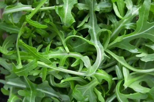 arugula