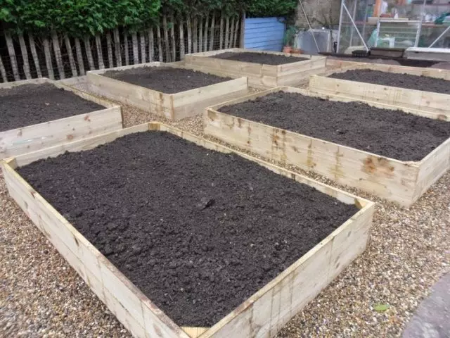 Wat kan onder die winter geplant word - 'n lys van tuinplante met verskeidenheid name