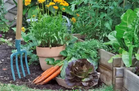 Os accesorios de selado no invernadoiro: forman un bo barrio de verduras 1003_7