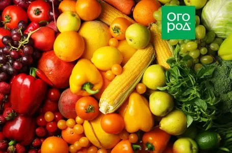 C'è una domanda: come determinare la scadenza delle verdure con un colore insolito?