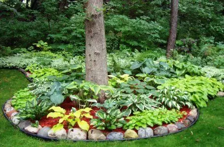 30 primerov, ki jih je treba storiti na vrtu, vrtu in cvetlični postelji v maju 100_7