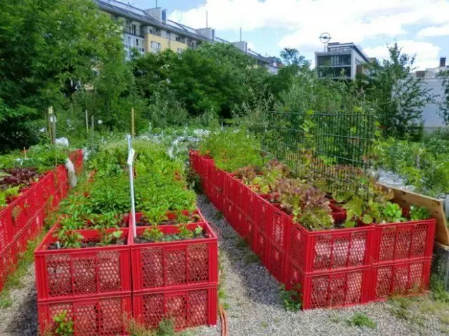 Camas altas no xardín