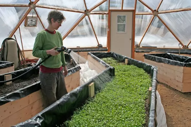 Iibhedi eziphezulu kwiGreenhouse