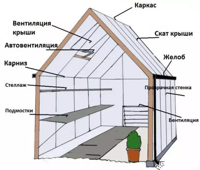 Ang istruktura sa greenhouse