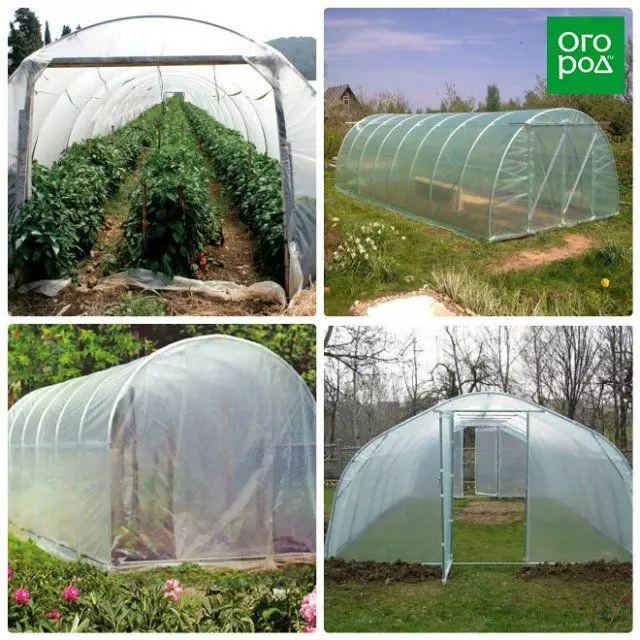 पीव्हीसी पासून greenhouses