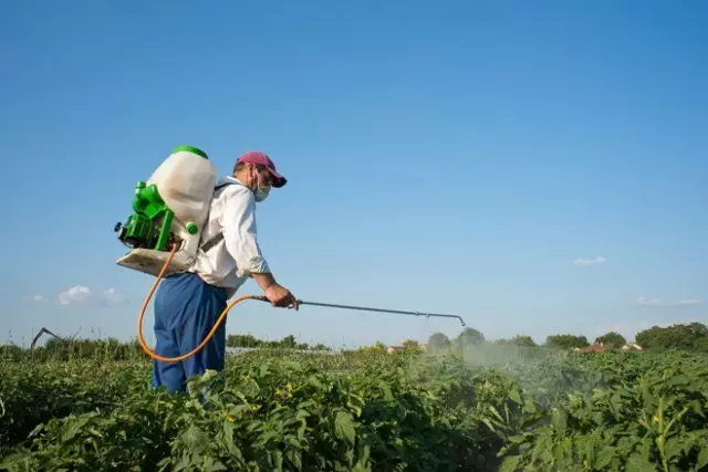 апырскванне раслін