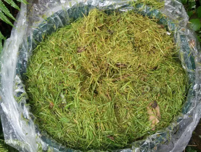 Herbal compost