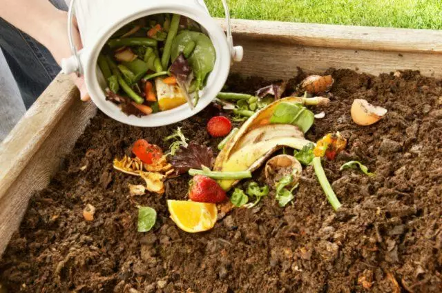 Compost