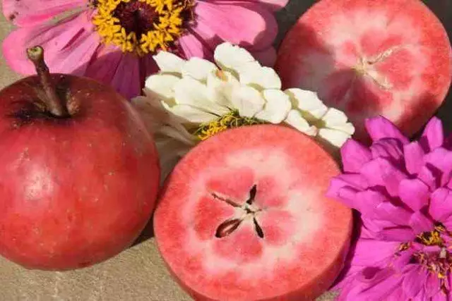 Pomodoro + Apple.