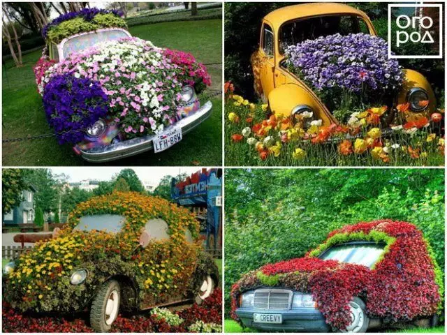 Car flower bed.