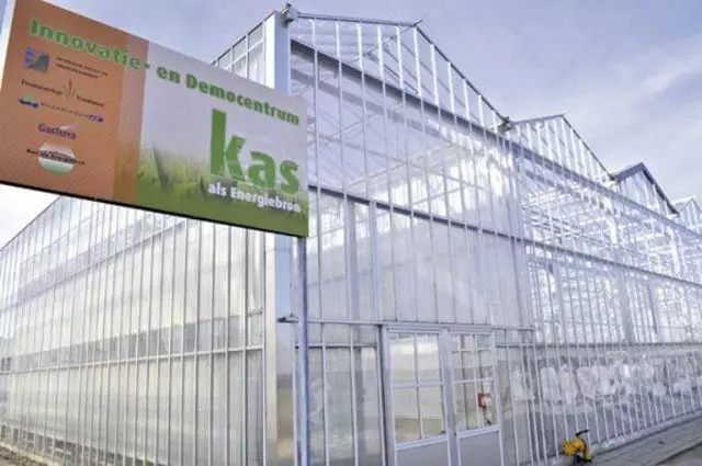 Fattili Greenhouse nei Paesi Bassi: come funziona