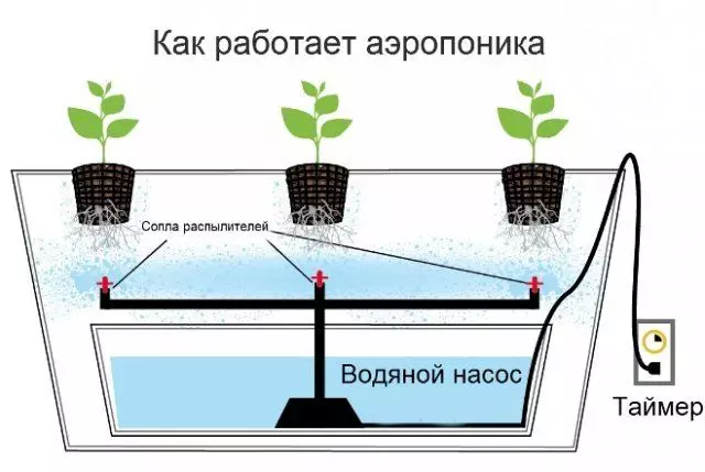 Схема працы аэропонной ўстаноўкі з помпай