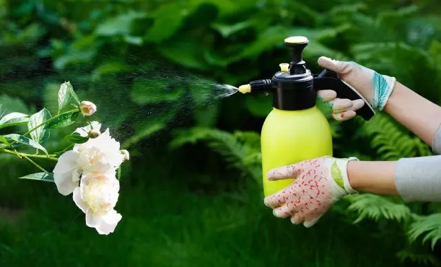 15 mejores artículos del verano saliente. 10456_17