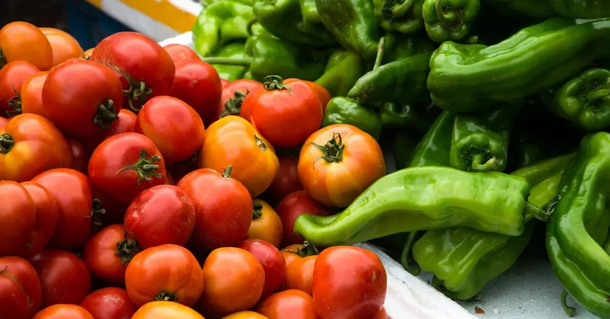 Combien de temps continue les tomates et poivron