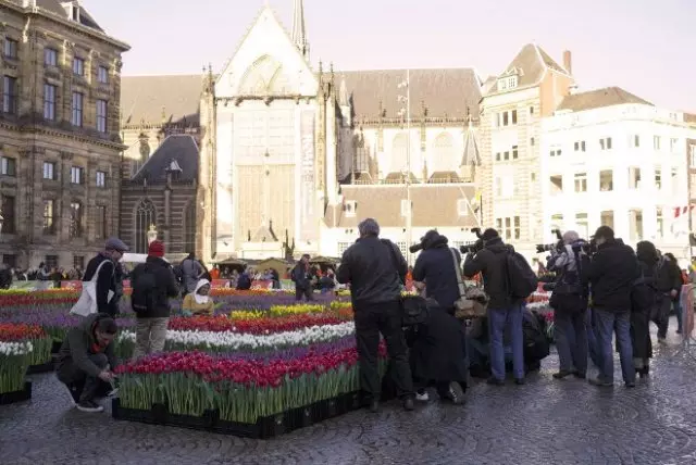 Tulipes de la journée nationale