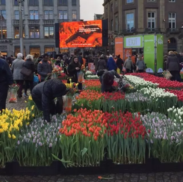 Festival de fleurs