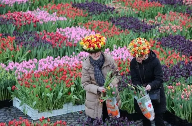 Visiteurs au Festival Tulipanov