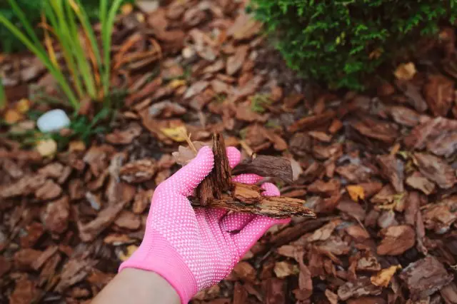 mulch.