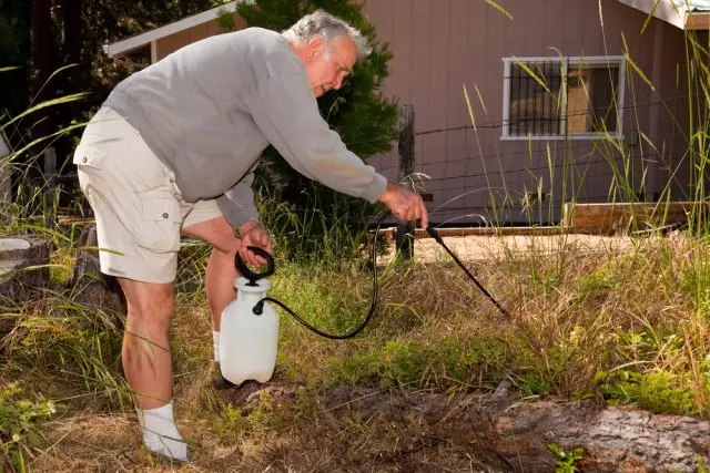 Herbicides å ødelegge ugress