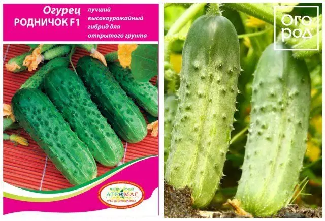 Cucumbers Spring F1.