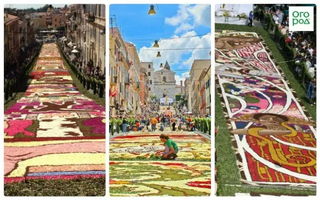 Os momentos de beleza - a festa das cores do infidental