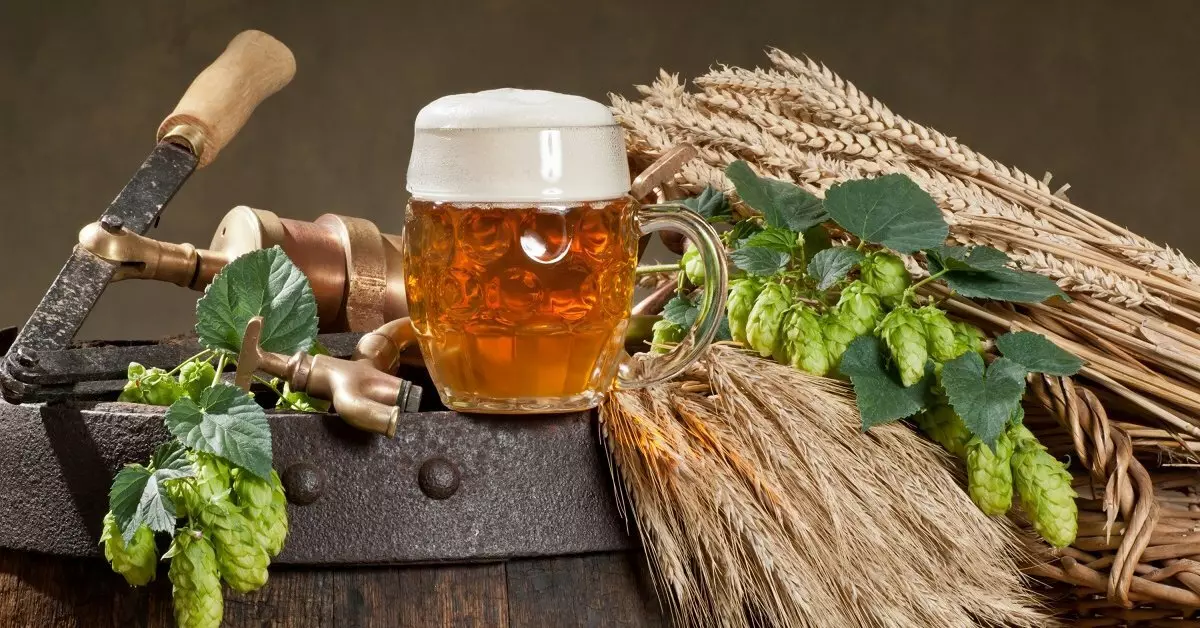 Kiel Kuiri Homemade Beer: Video-profito