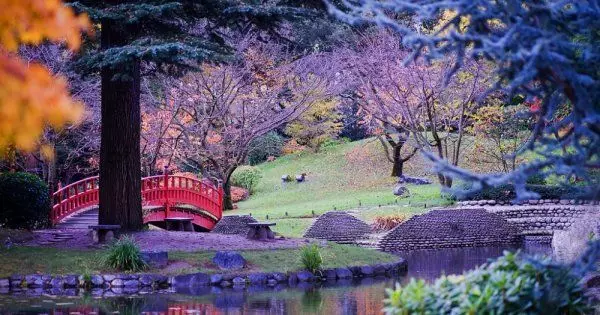 Giardino Alber-Kan - Composizione intrecciata da ricordi