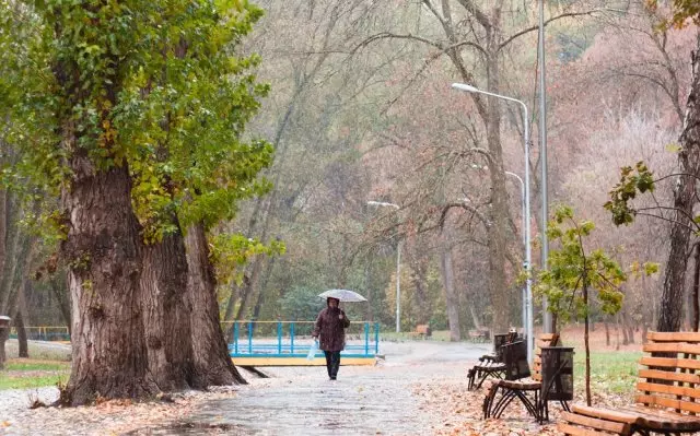 Pourquoi nous avons rattrapé et comment ne pas tomber malade à l'automne