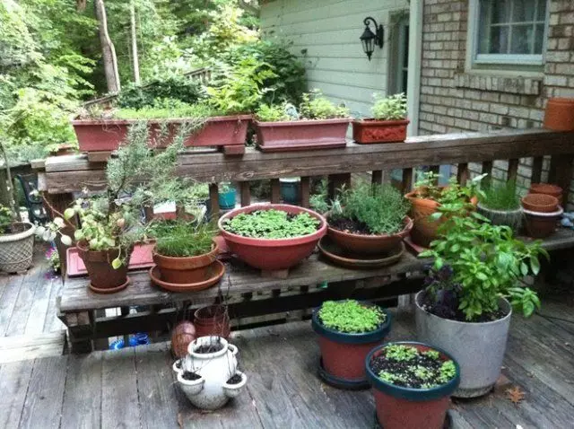 Various pots