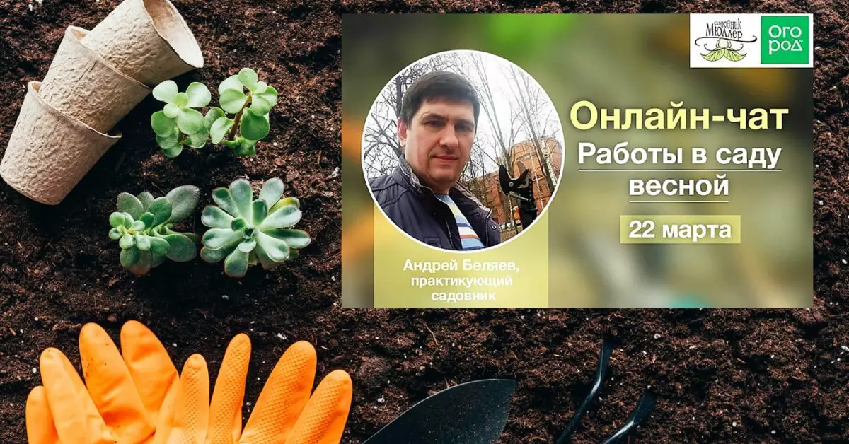 Spring Garden Stennija: Ir-riżultati taċ-chat online mal-ġardinar Andrei Belyaev fuq il-Garden.ru