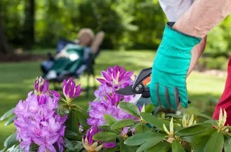 25 cas qui doivent être effectués dans le jardin, le jardin et le lit de fleurs en mars 105_19
