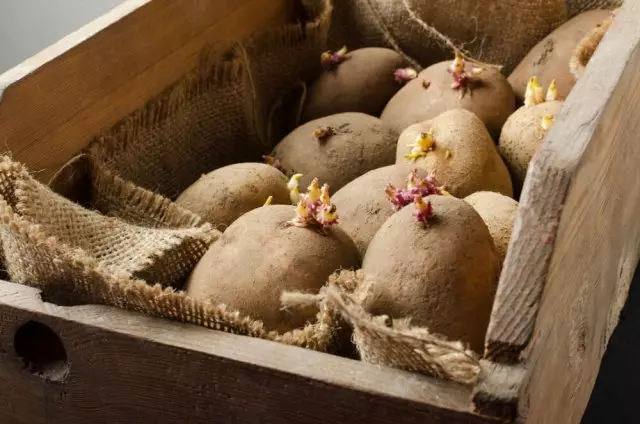 Stockage de pommes de terre