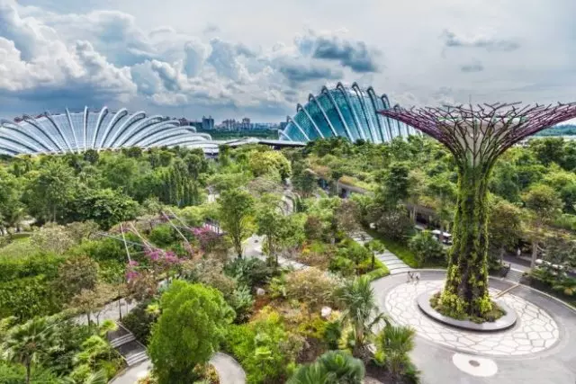 सिंगापुर बगीचा