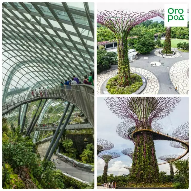 Architektur des Singapur-Gartens