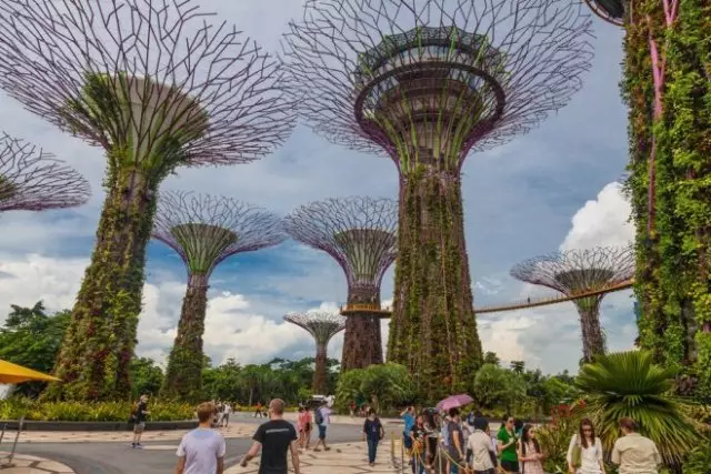 Singapur-Bäume der Zukunft