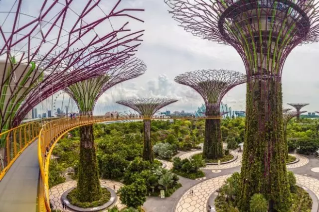 Singapur Gardens Fotos.
