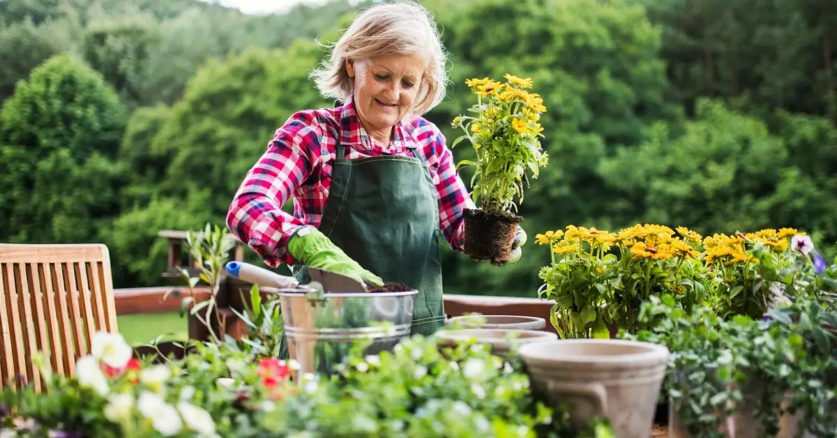 Para saintis mengetahui bagaimana berkebun memberi kesan kepada kesihatan kita