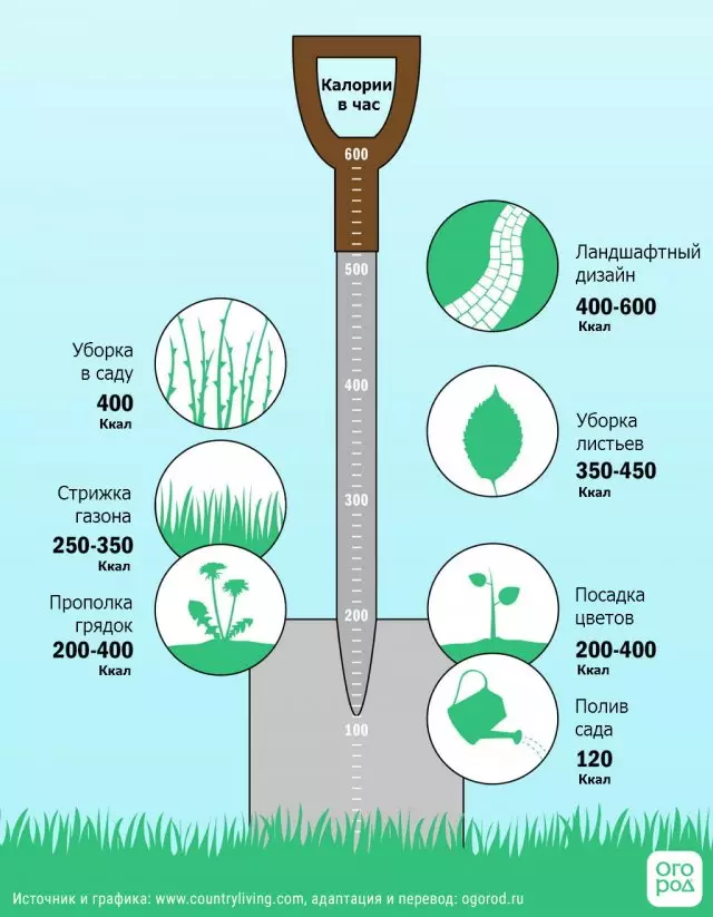 Les scientifiques découvrent la manière dont le jardinage affecte notre santé 10683_1