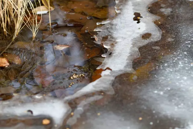 10 affaires obligatoires au chalet pendant le dégel et après