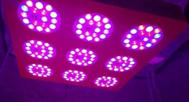 LEDs para plantas