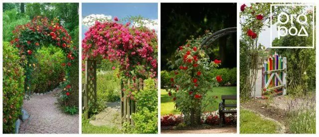 Arcos con rosas