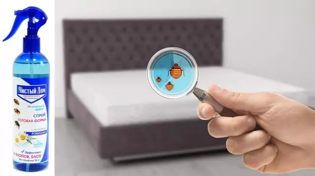 Forigu de insekta bobbop-puloj en la apartamento