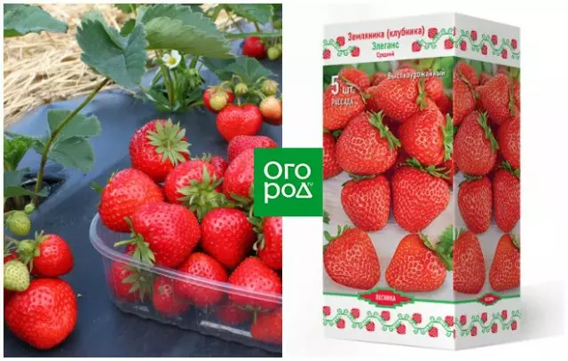 I-Strawberry yonyulo