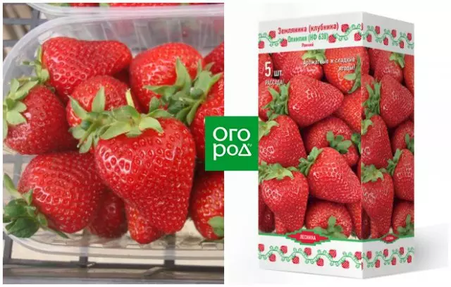 Strawberry Olympia.