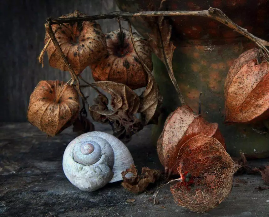 Country season - Magic still life of Natalia Dorosh 10967_36