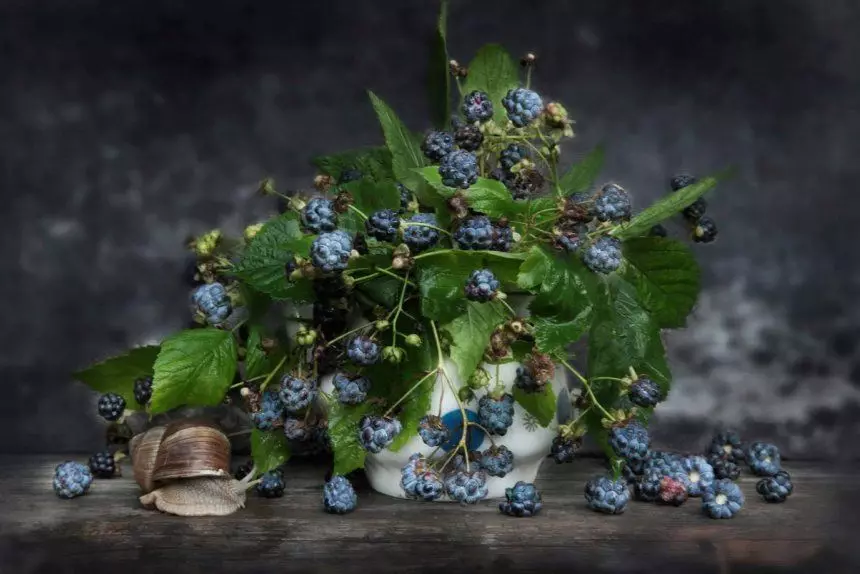 Country season - Magic still life of Natalia Dorosh 10967_4