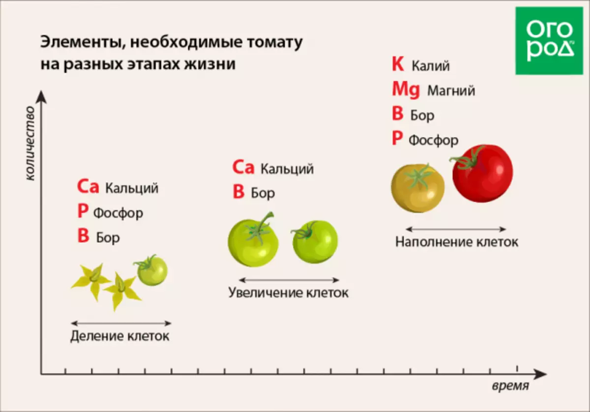 Uru nke tomato n'elu