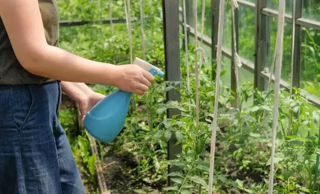 Oxucuların seçilməsindən ən yaxşı 20 məqalə Vegetro Fr. 10977_37