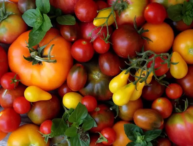 Kiel elekti tomatajn semojn kaj ne konjekti