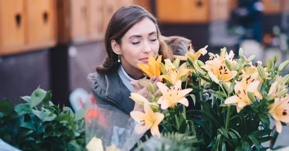 What lilies smell the strongest (varieties with photos)